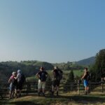 Village life in Transylvanian Carpathian mountains - 8 days - Why This Tour Offers Good Value