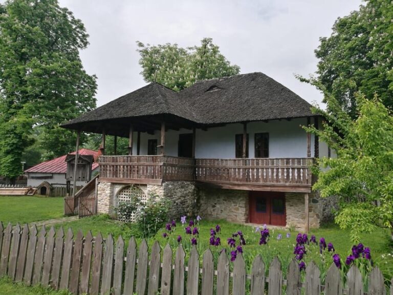 Village Museum Bucharest Guided Tour - Who Will Love This Tour?