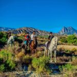 Villajoyosa Horseback Riding in the Mountains with sea views - What to Expect: From Meeting Your Horse to Reaching Breathtaking Vistas
