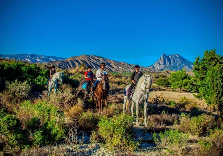 Villajoyosa Horseback Riding in the Mountains with sea views - What to Expect: From Meeting Your Horse to Reaching Breathtaking Vistas