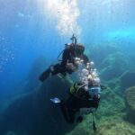 Villasimius: Scuba Dive in Capo Carbona without Certificate - The Itinerary in Detail