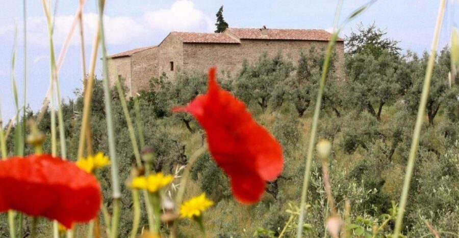Vinci: Entrance to the Leonardo's Birthplace - Exploring Vinci’s Birthplace: A Close Look