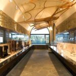 Vinci: Leonardiano Museum & Da Vinci Birthplace Ticket - What to Expect on Your Visit