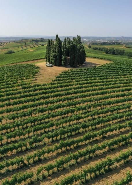 Vinci: wine-experience among the Tuscan hills - The Experience’s Strengths