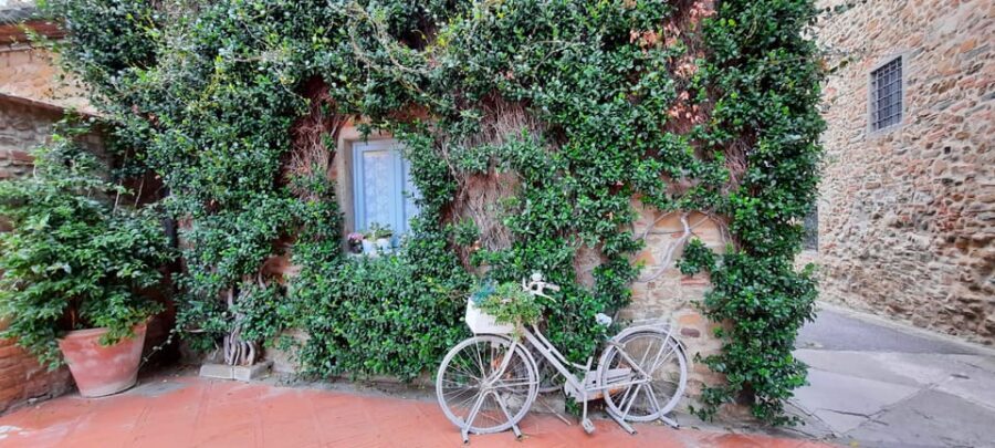 Vinci:Discovering Leonardo's Origins & Aperitif in Vineyards - A Closer Look at the Itinerary and Highlights