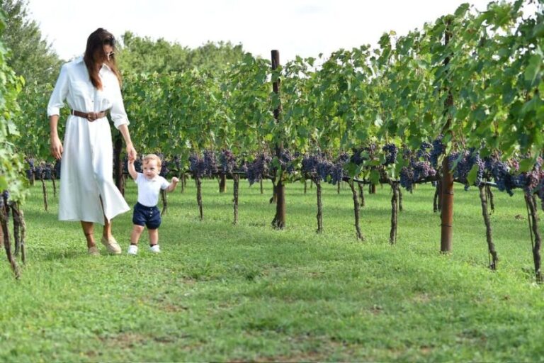 Vineyard Escape, Walk, Lunch and Wine Tasting - Who Will Love This Tour?