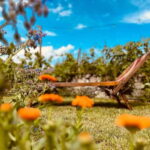 Vineyard Tour and Wine Tasting - Exploring Liguria’s Vineyard and Wine Scene