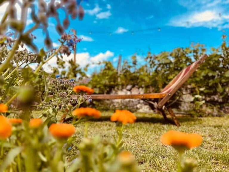 Vineyard Tour and Wine Tasting - Exploring Liguria’s Vineyard and Wine Scene