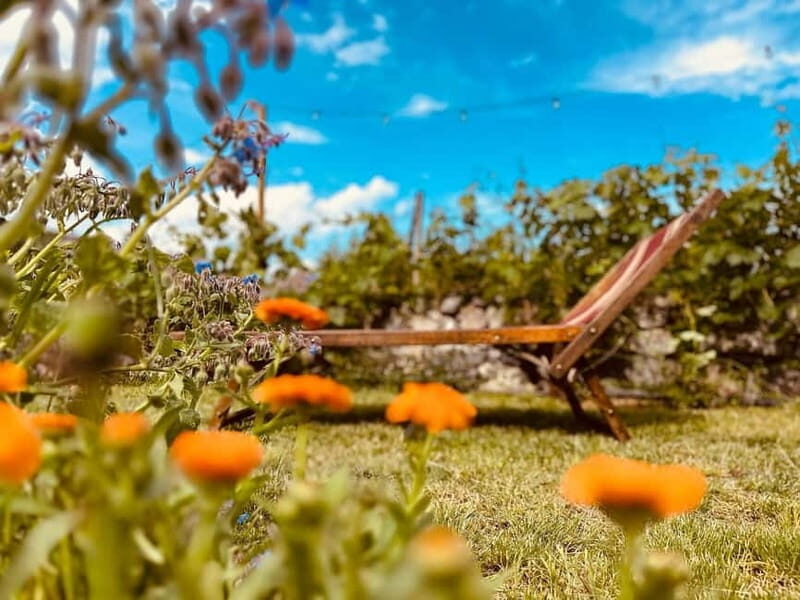 Vineyard Tour and Wine Tasting - Exploring Liguria’s Vineyard and Wine Scene