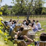 Vineyard Tour and Winery Visit with Tasting of Wines of Romagna - The Family’s Legacy and Its Impact on the Experience