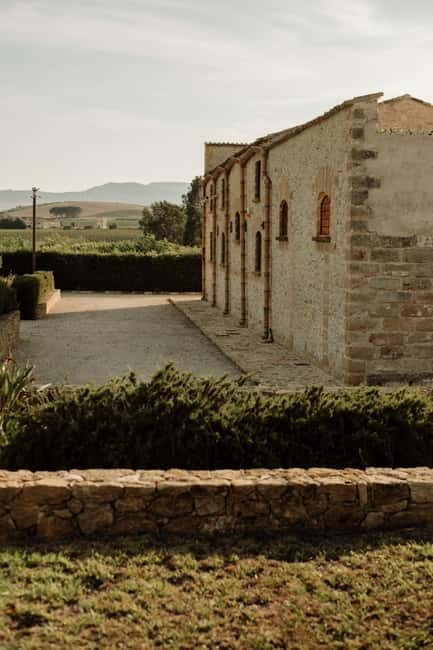 Vineyard Walk and Tasting - What Makes This Experience Stand Out?