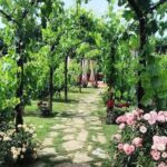 Vineyard Walk, Lunch or Dinner with Wine Tasting - Practicalities: What You Need to Know