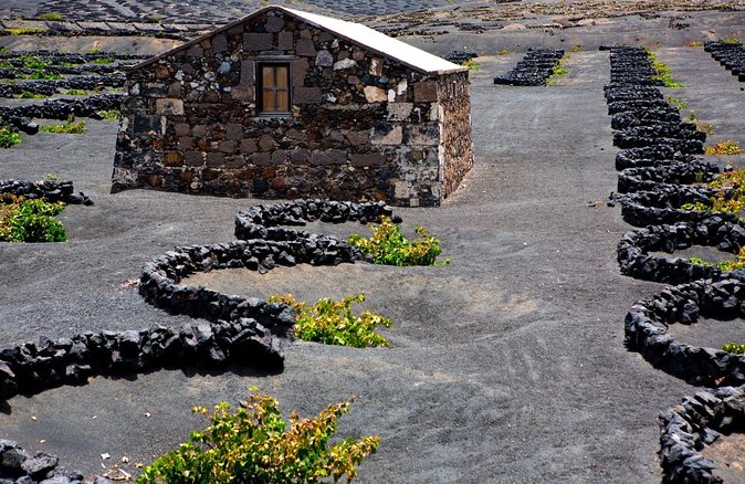 Vineyards of La Geria hiking tour - Key Points