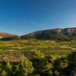 vingrau : wine tasting - The Tasting Experience