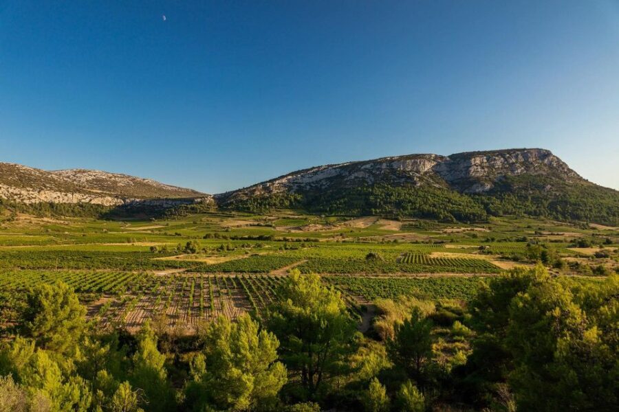 vingrau : wine tasting - The Tasting Experience