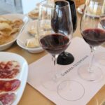 Vinha D'Ervideira Experience - Who Should Consider This Tour?