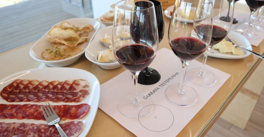 Vinha D'Ervideira Experience - Who Should Consider This Tour?