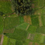 Vinho Verde: Private Wine Tasting w/ Tapas & Fortress Visit - Is It Worth the Price?