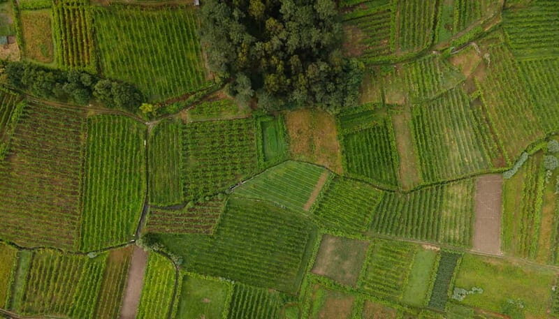 Vinho Verde: Private Wine Tasting w/ Tapas & Fortress Visit - Is It Worth the Price?