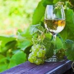 Vinho Verde Private Wine-Tour (All Inclusive) - The Itinerary Deep Dive