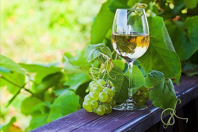 Vinho Verde Private Wine-Tour (All Inclusive) - The Itinerary Deep Dive