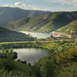 Vinho Verde: Visit 3 Wineries with wine tastings and Lunch - Why This Tour Works: The Balance of Experience and Convenience