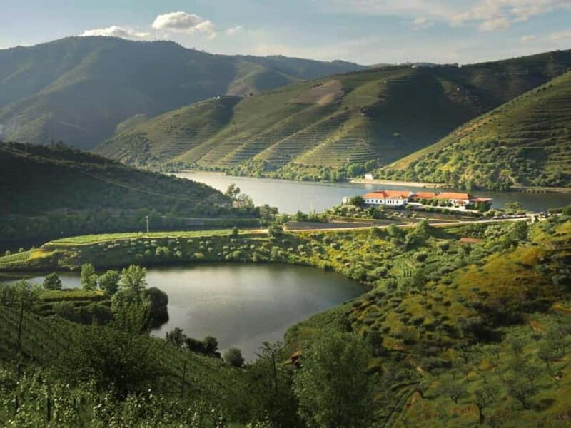 Vinho Verde: Visit 3 Wineries with wine tastings and Lunch - Why This Tour Works: The Balance of Experience and Convenience