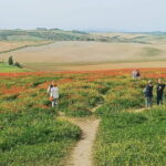 VIP Brunello Montalcino, Montepulciano & Val d'Orcia with Lunch - Transportation & Group Size