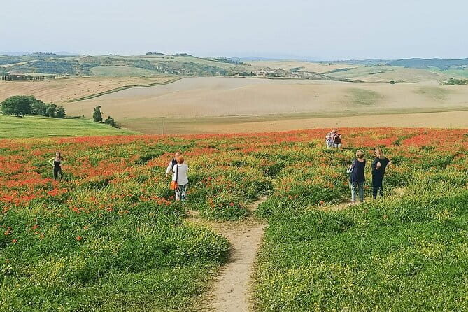 VIP Brunello Montalcino, Montepulciano & Val d'Orcia with Lunch - Transportation & Group Size