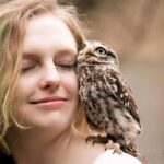 VIP falconry taster session - Is It Worth the Price?