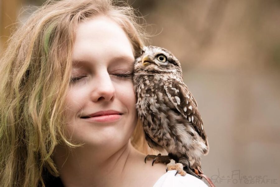 VIP falconry taster session - Is It Worth the Price?