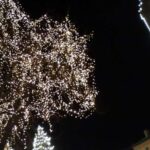 Vipiteno walking tour: the true essence of South Tyrol - The practicalities and overall value