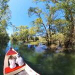 Virpazar: Amazon wilderness speed boat cruise - Why the Tour Works Well