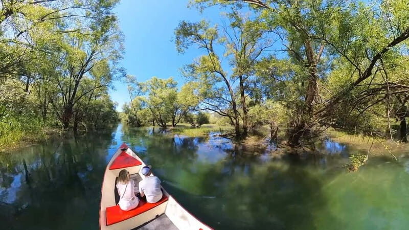 Virpazar: Amazon wilderness speed boat cruise - Why the Tour Works Well