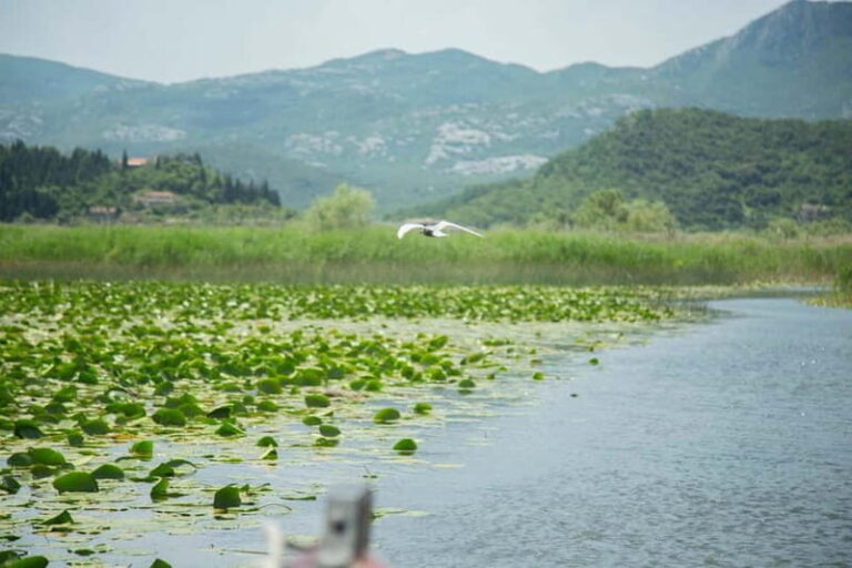 Virpazar: Historical & Nature Boat Adventure on Lake Skadar - What to Expect on the Journey