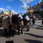 VirtualTour Video October Beer Festival Munich with Wolfgang - Analyzing the Value