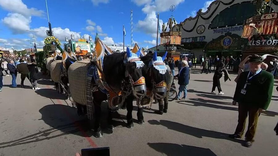 VirtualTour Video October Beer Festival Munich with Wolfgang - Analyzing the Value