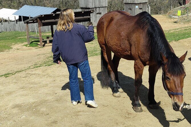 Visit a Farm and Horseback Riding in Nature - The Itinerary: What You Can Expect