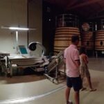 Visit a winery in Rioja - Who Will Love This Tour?
