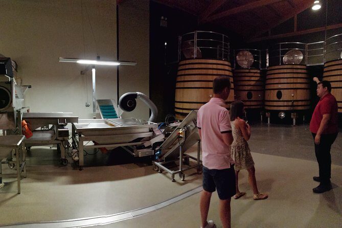 Visit a winery in Rioja - Who Will Love This Tour?