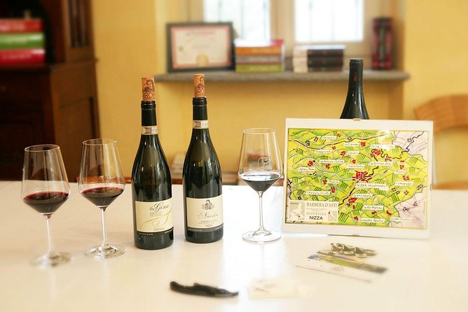 Visit among vineyards and wine cellar with wine tasting in Nizza Monferrato - Introduction