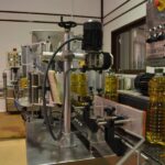 Visit an almazara + extra virgin olive oil tasting: Baeza - Who Will Love This Tour?