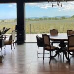 Visit and wine tasting 30 minutes from Pescara - The Guided Tasting and Regional Delights