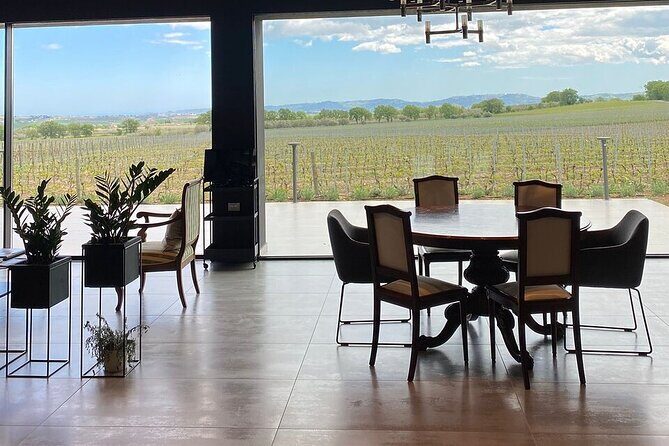 Visit and wine tasting 30 minutes from Pescara - The Guided Tasting and Regional Delights