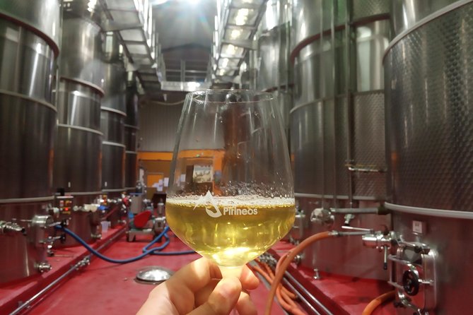 Visit and wine tasting at BODEGA PIRINEOS - Key Points