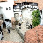 Visit Bear Sanctuary and Bran Castle from Brasov - Who Should Consider This Tour?