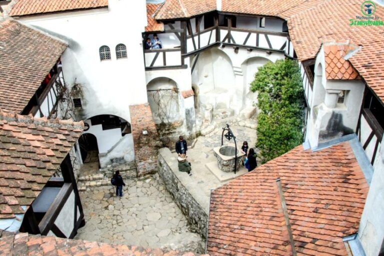 Visit Bear Sanctuary and Bran Castle from Brasov - Who Should Consider This Tour?