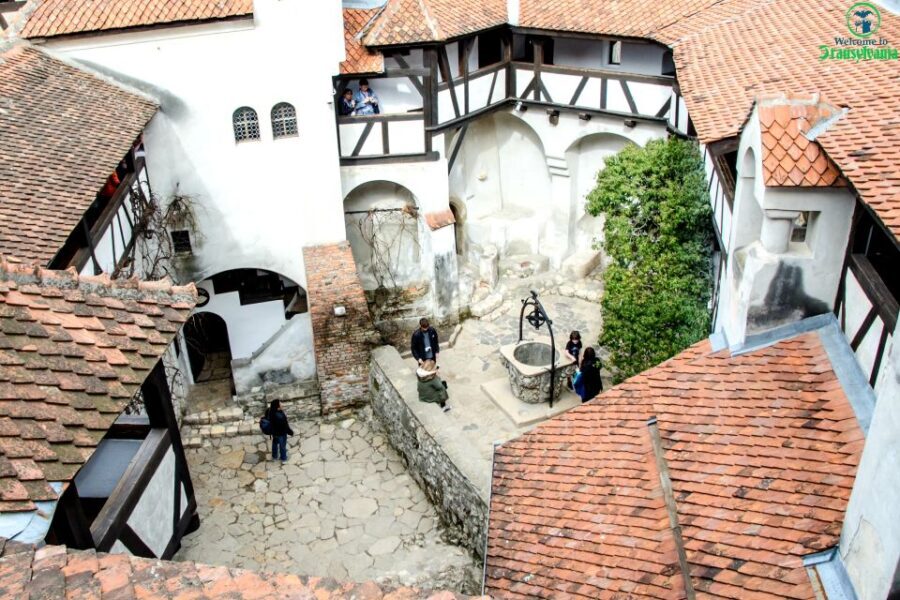 Visit Bear Sanctuary and Bran Castle from Brasov - Who Should Consider This Tour?