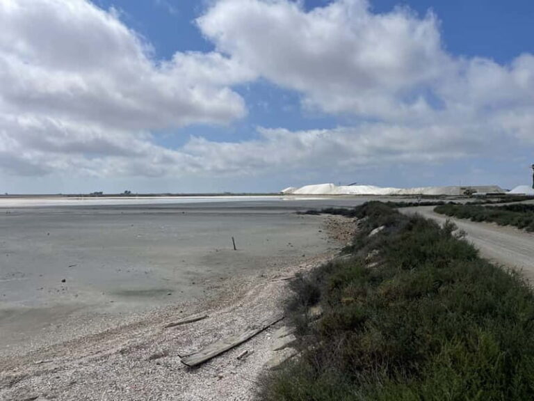 Visit Camargue and Espiguette Lighthouse from Montpellier - In-Depth Look at the Itinerary