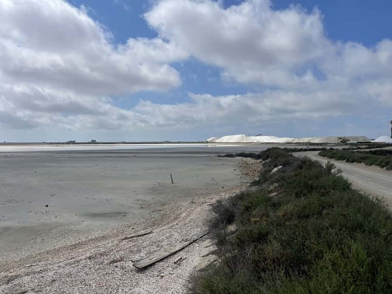 Visit Camargue and Espiguette Lighthouse from Montpellier - In-Depth Look at the Itinerary